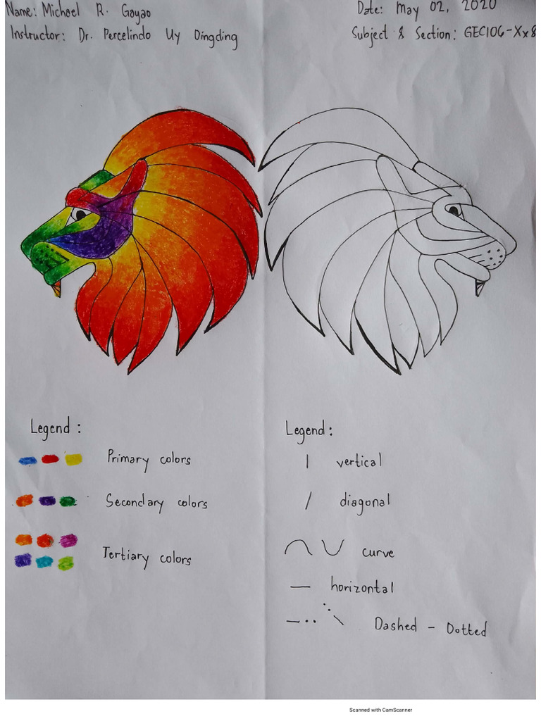 Gayao#14 - Kinds of Lines and Colors | PDF