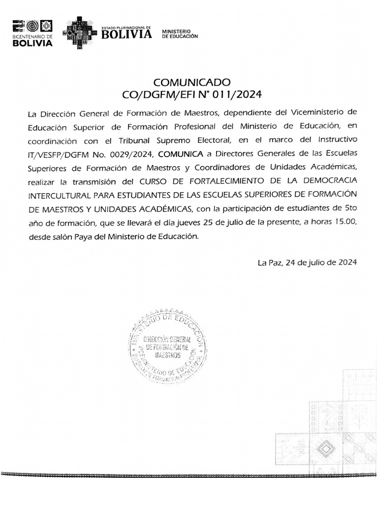 Co DGFM Efi 011 2024 | PDF