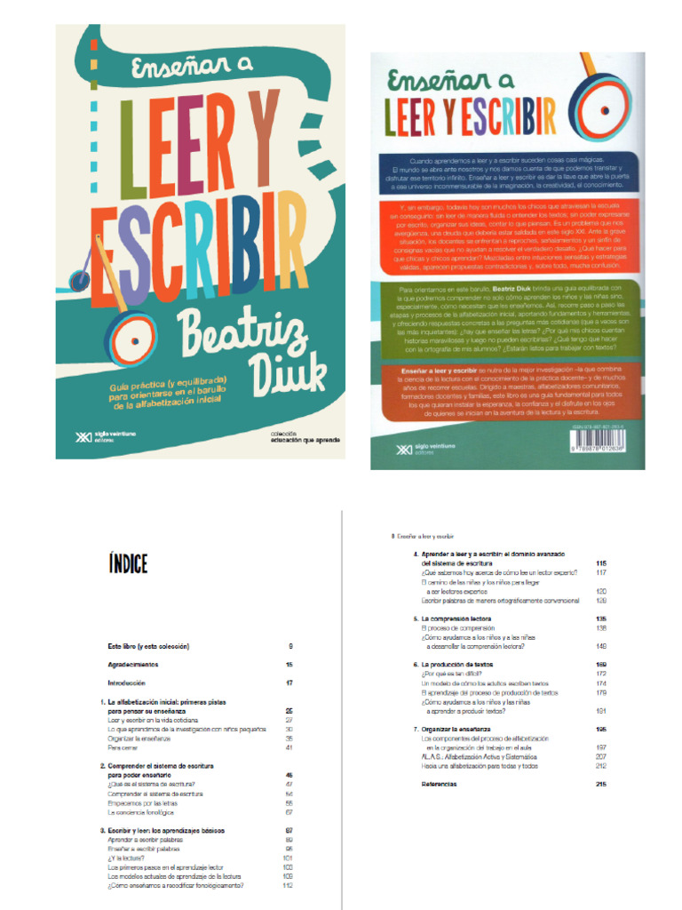 Enseñar A Leer y Escribir - Beatriz Diuk | PDF