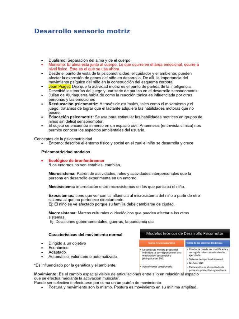 Desarrollo Sensorio Motriz | PDF