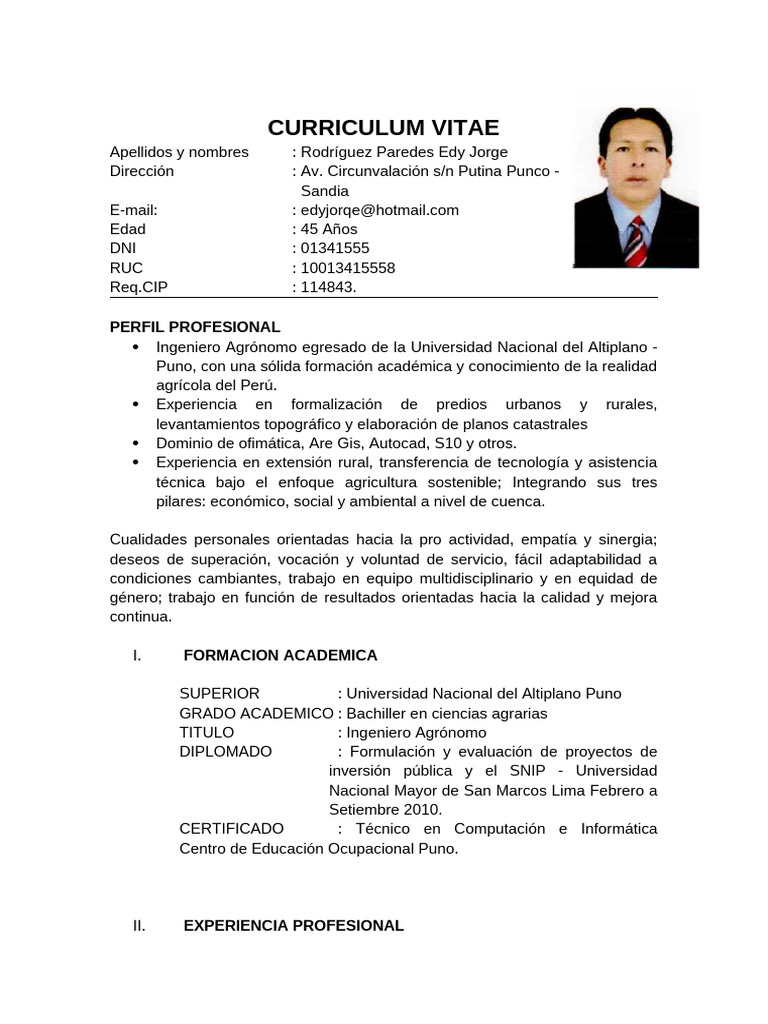 CV JORGE | PDF