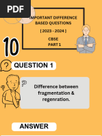 Working Paper For Mun (Example) | PDF