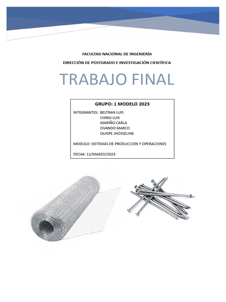 Trabajo Final | PDF