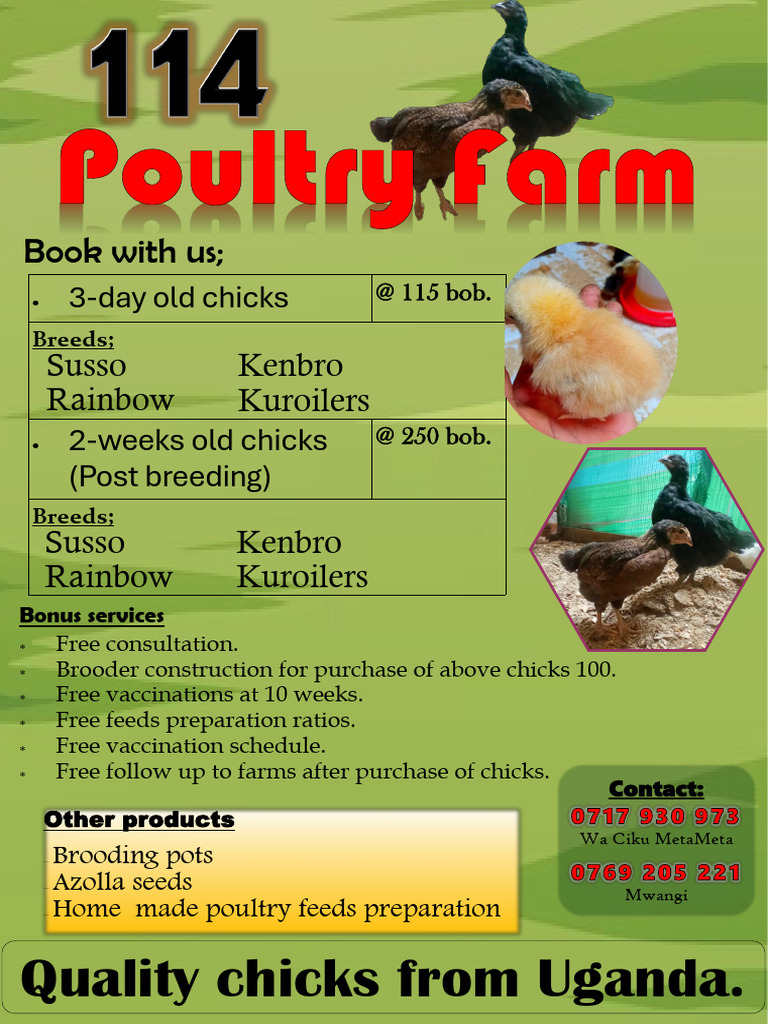 Poultry Farm Poster | PDF