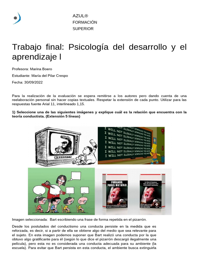 Trabajo Final Psicologia del Desarrollo Azul Formaciones | PDF
