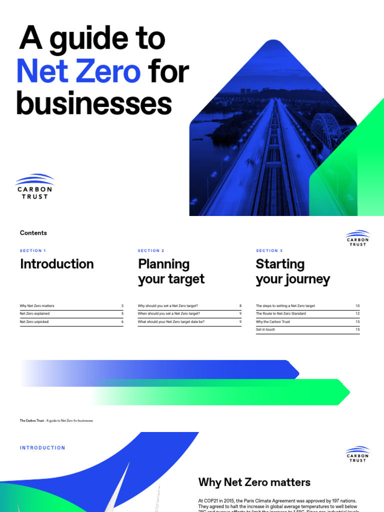 A Guide to Net Zero for Businesses | PDF