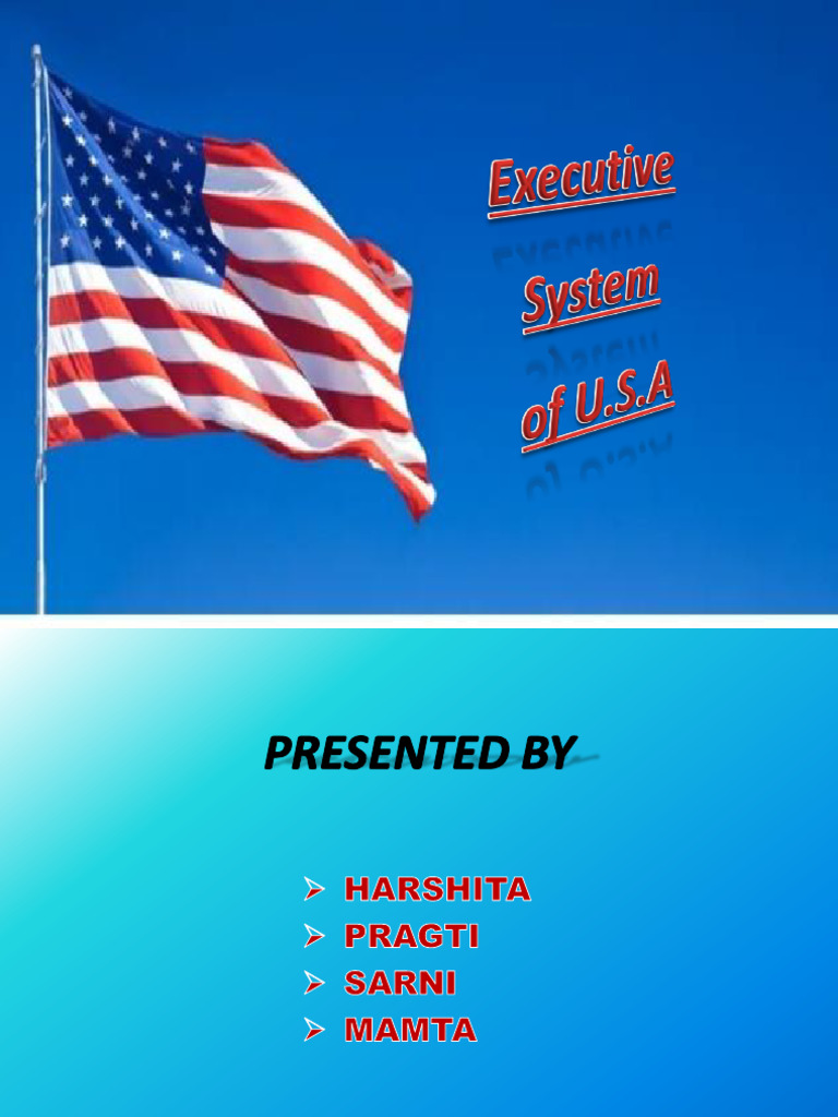 USA Executive System | PDF