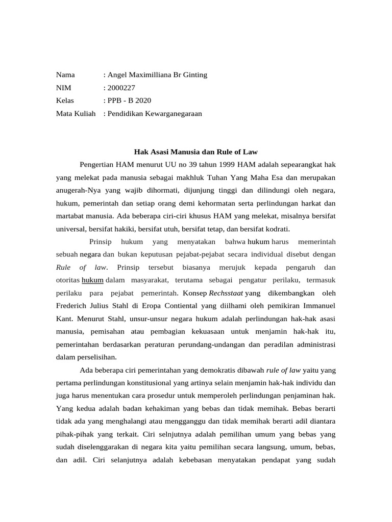 Rangkuman HAM Dan Rule of Law | PDF