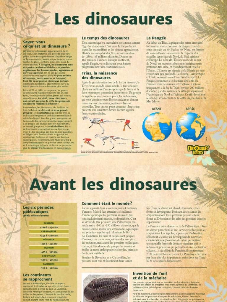 En-Savoir-Plus-Sur-Les-Dinosaures-2297 2 | PDF