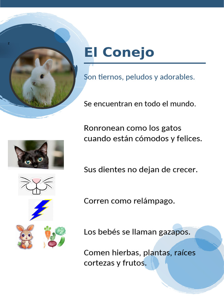 Los Conejos | PDF