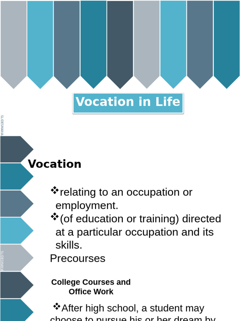 Vocation in Life | PDF