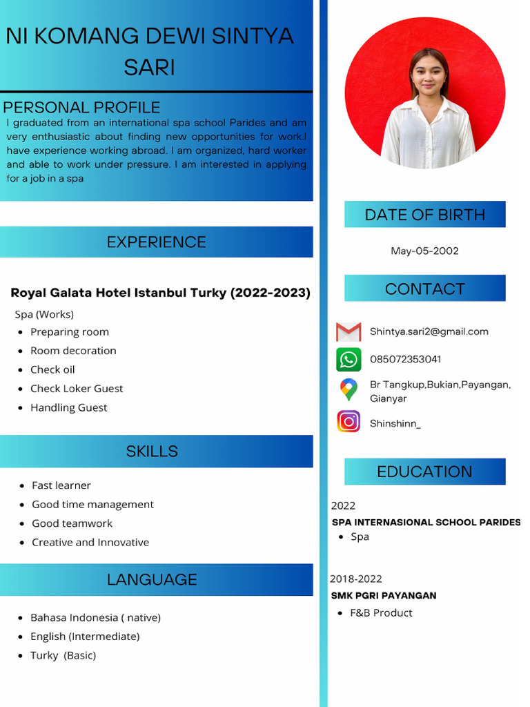 Blue Light Blue Color Blocks Flight Attendant CV | PDF