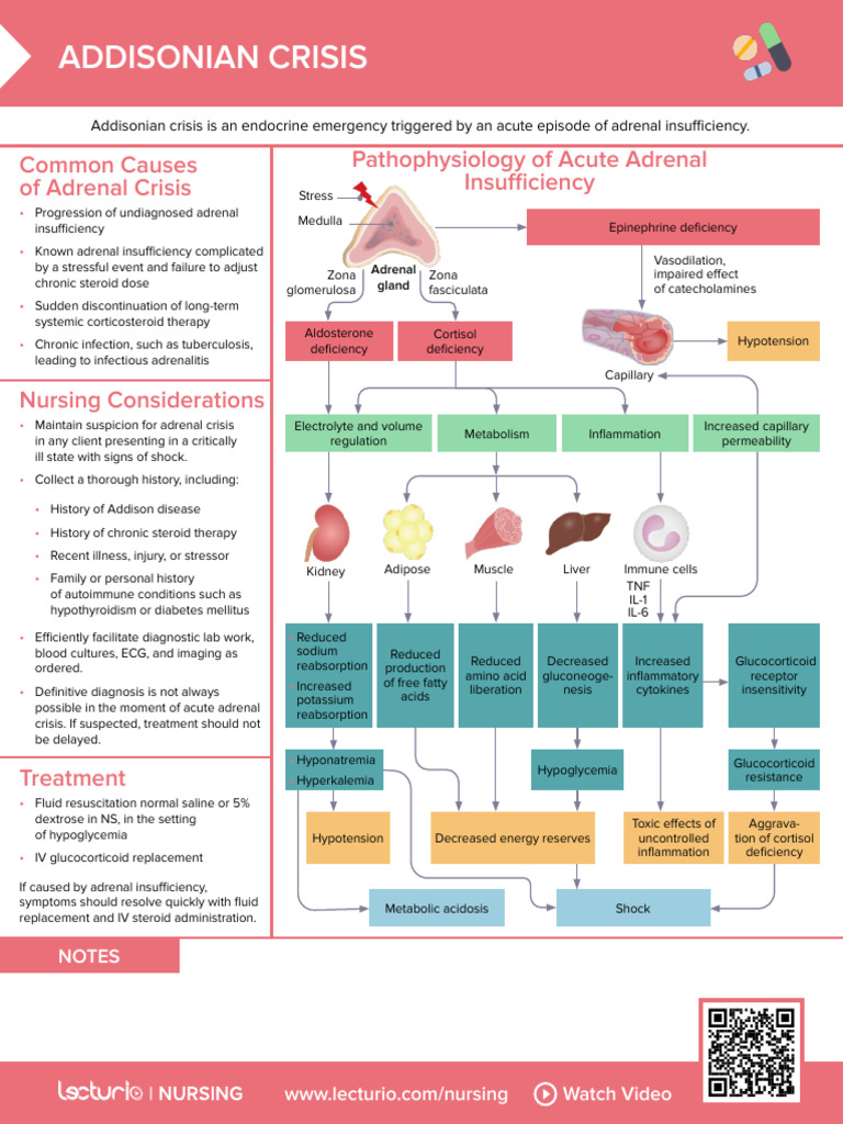 Nursing CS Addisonian-Crisis 04-1 | PDF | Adrenal Gland | Glucocorticoid