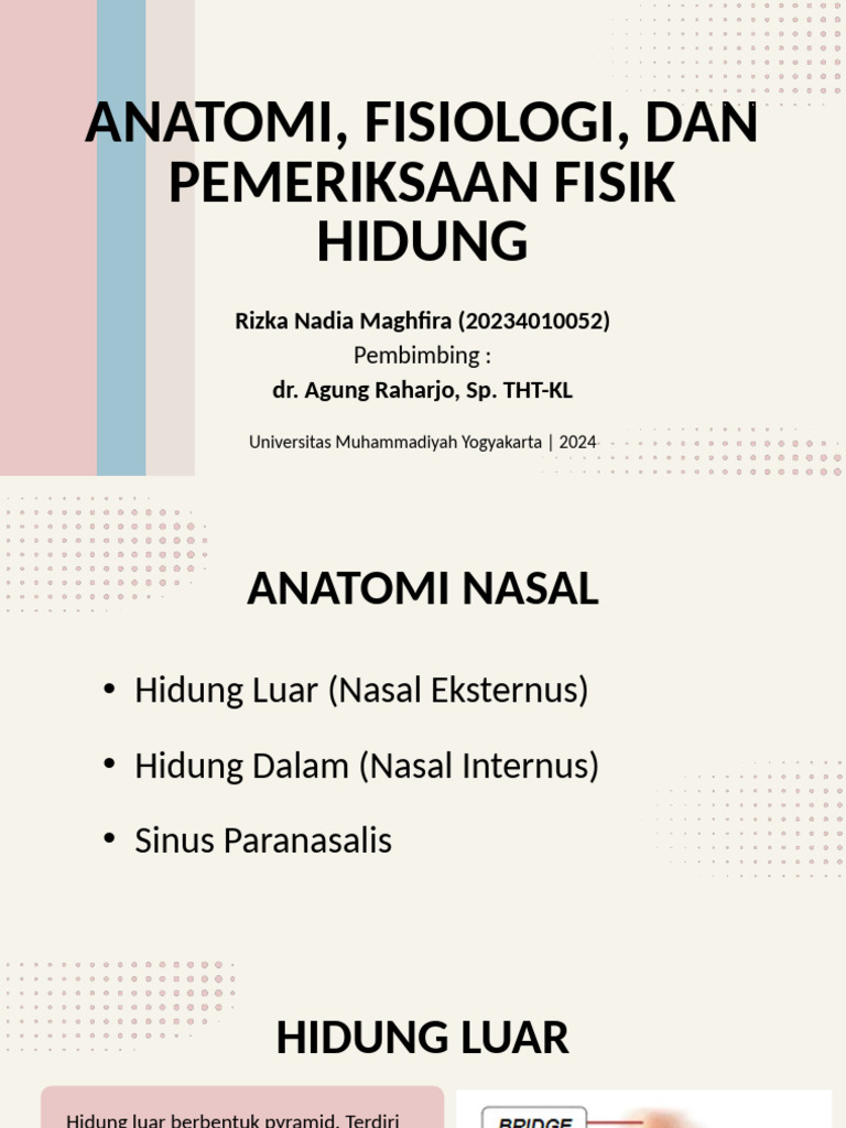 Anatomi, Fisiologi, Dan Pemeriksaan Fisik Hidung | PDF Anatomi, Fisiologi, Dan Pemeriksaan Fisik Hidung | PDF