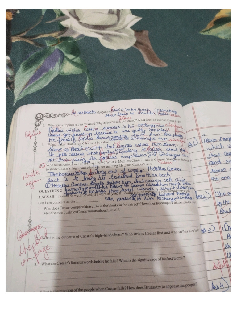 PDFGallery 20240821 201346 | PDF