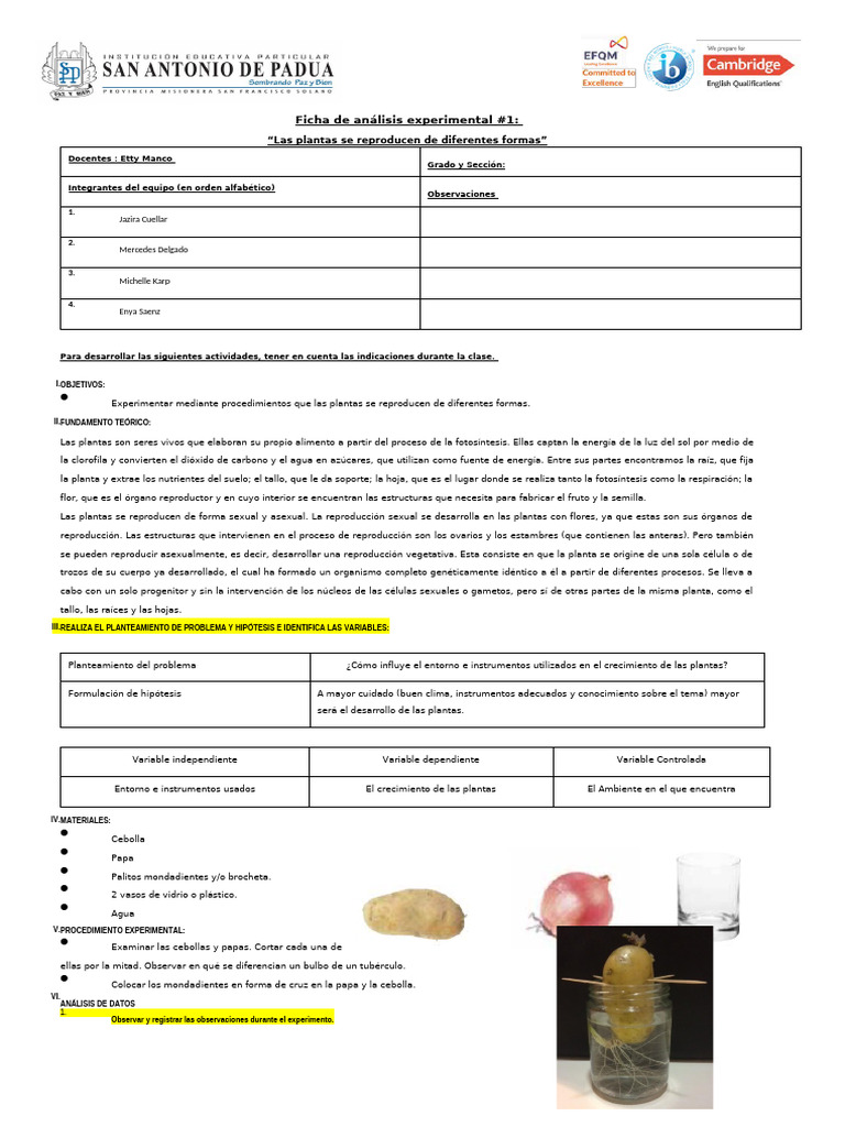 Reproduccion en Plantas | PDF