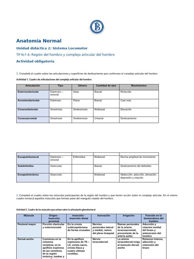 TP4 - Hombro y Sus Articulaciones - Ud2 | PDF