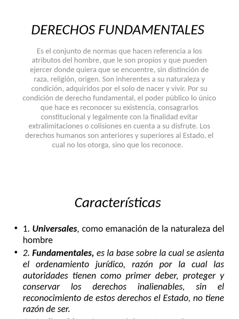 Derechos Fundamentales | PDF