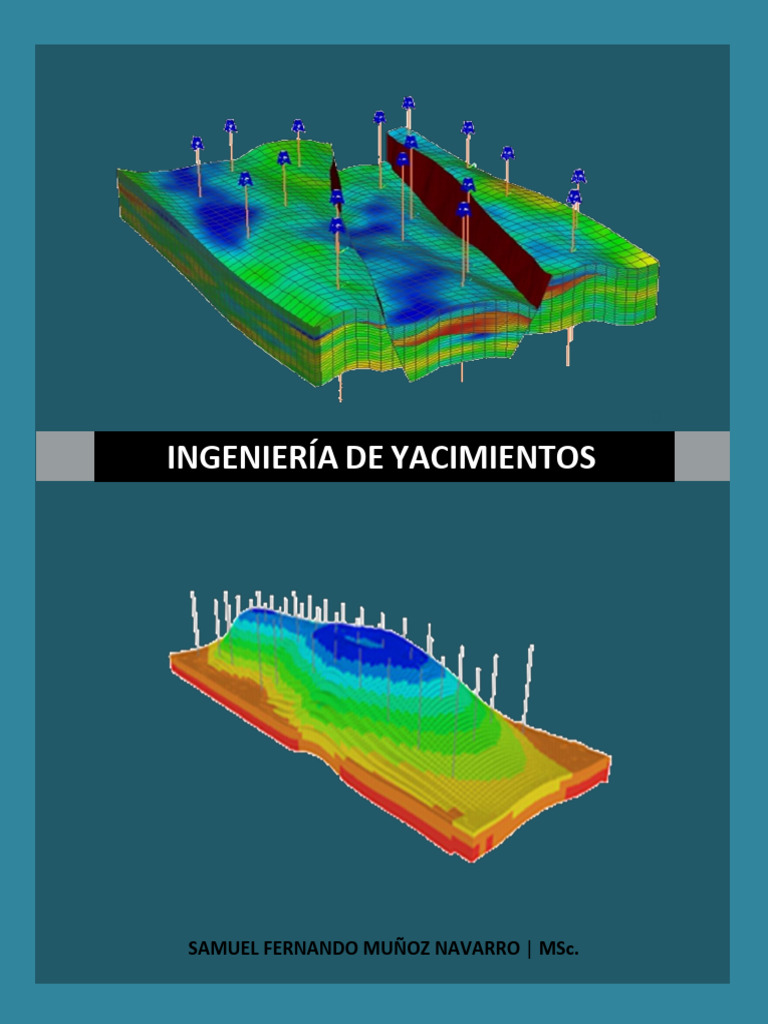 TEXTO INGENIERÍA DE YACIMIENTOS | PDF