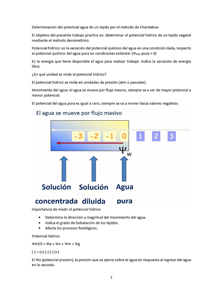 Potencial Hídrico en Tejidos Vegetales | PDF | Concentración | Química