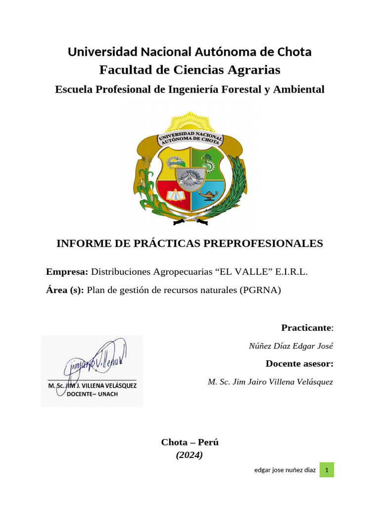 Formato 06. Esquema de Informe de Prácticas Preprofesionales | PDF