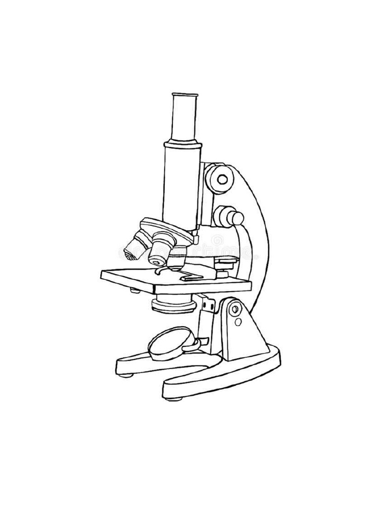 Compound Microscope | PDF