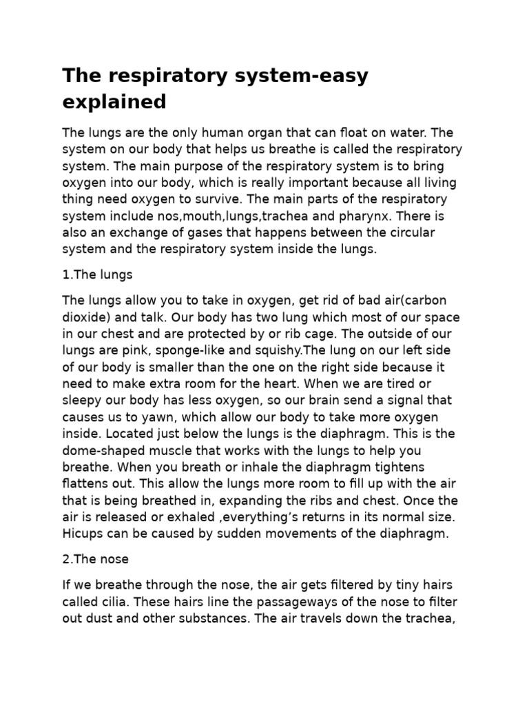 The Respiratory System | PDF