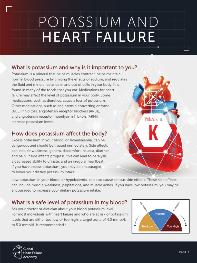 GHFA-LowPotassium Handout v2 | PDF