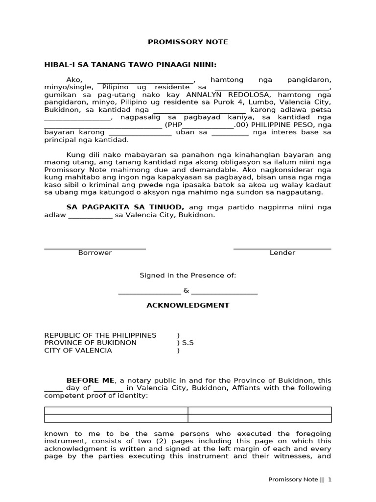 Promissory Note Blank | PDF