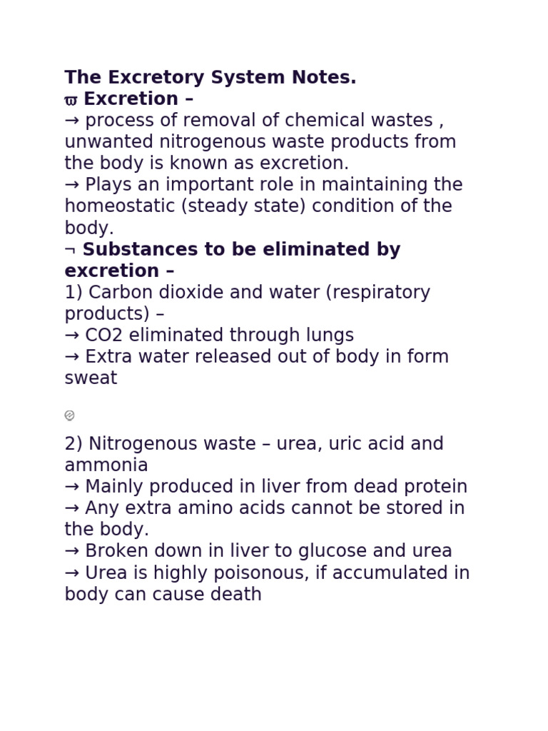 The Excretory System Notes | PDF