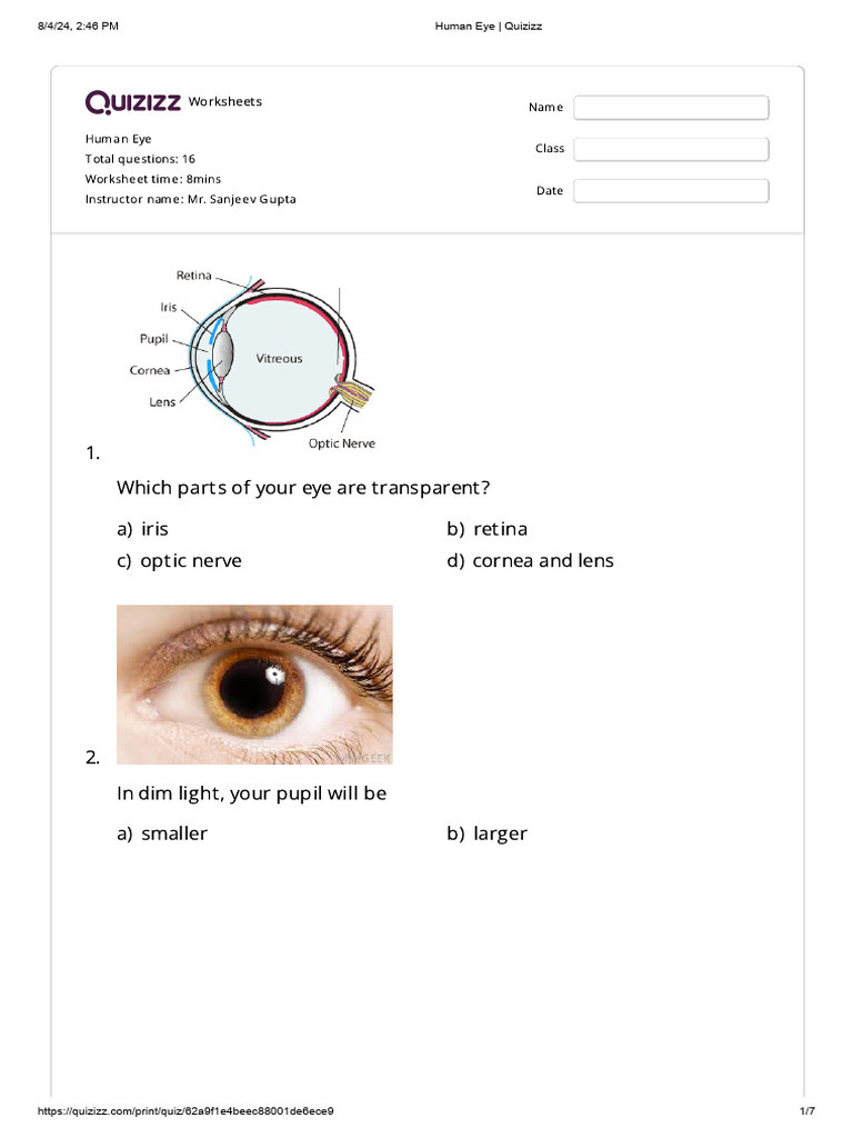Human Eye - Quizizz | PDF | Eye | Human Eye