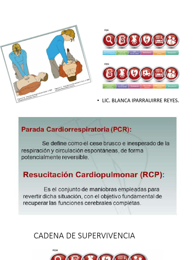 RCP BASICO | PDF
