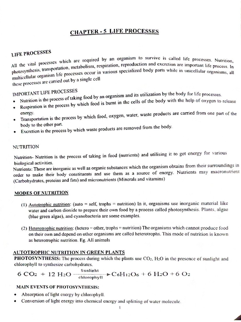 SCIENCE CH 5 LIFE PROCESSES | PDF