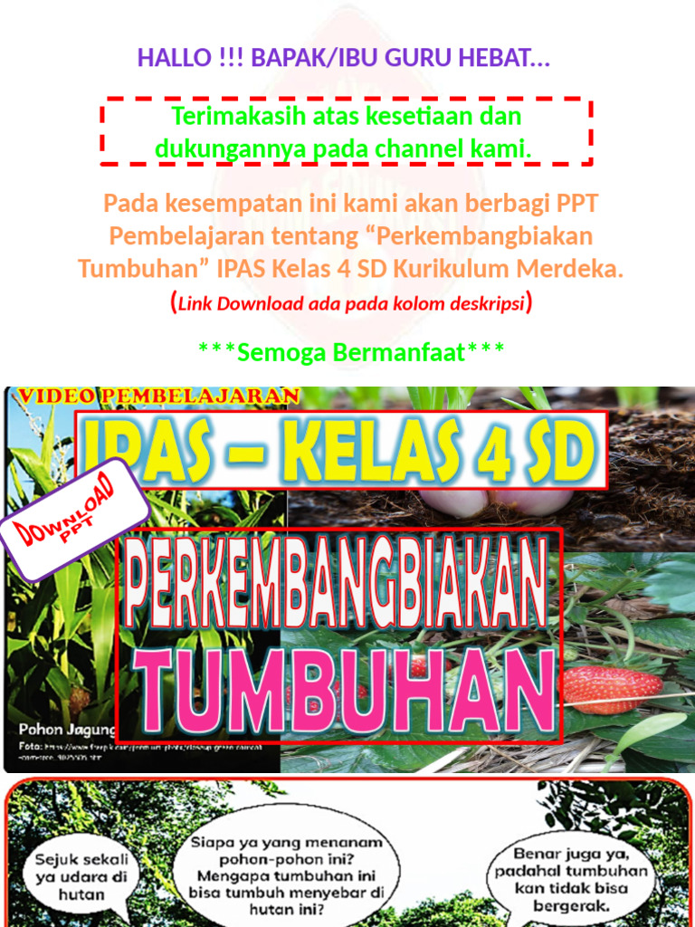 PPT Perkembangbiakan Tubuhan Hijau - Ipas Kelas 4 SD - Kurikulum ...