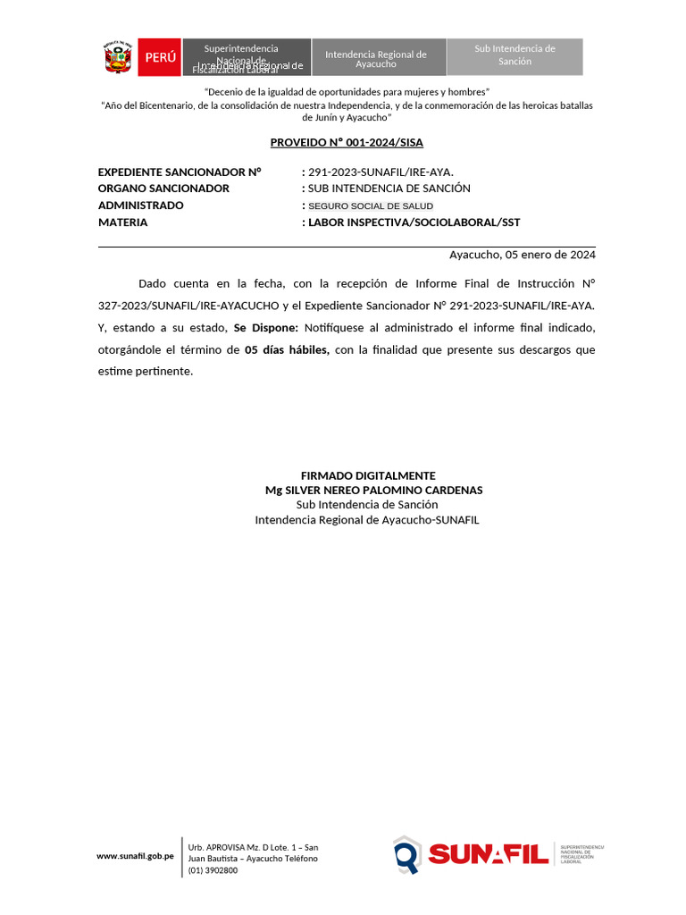 Modelo de Proveido | PDF