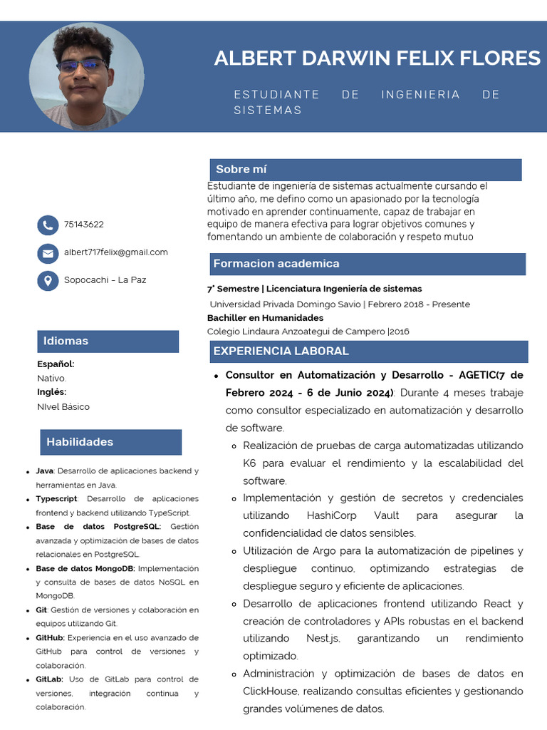 Curriculum Albert | PDF | Software Engineering | Computing