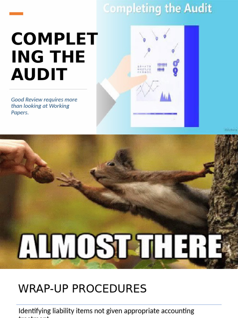 Completing the Audit | PDF