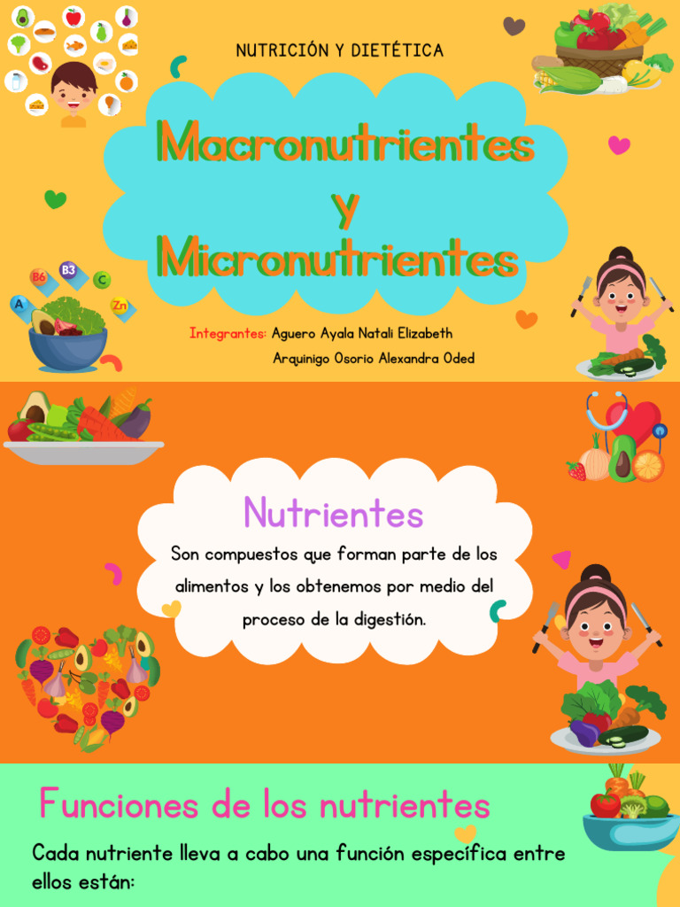 Macronutrientes Y Micronutrientes Pdf