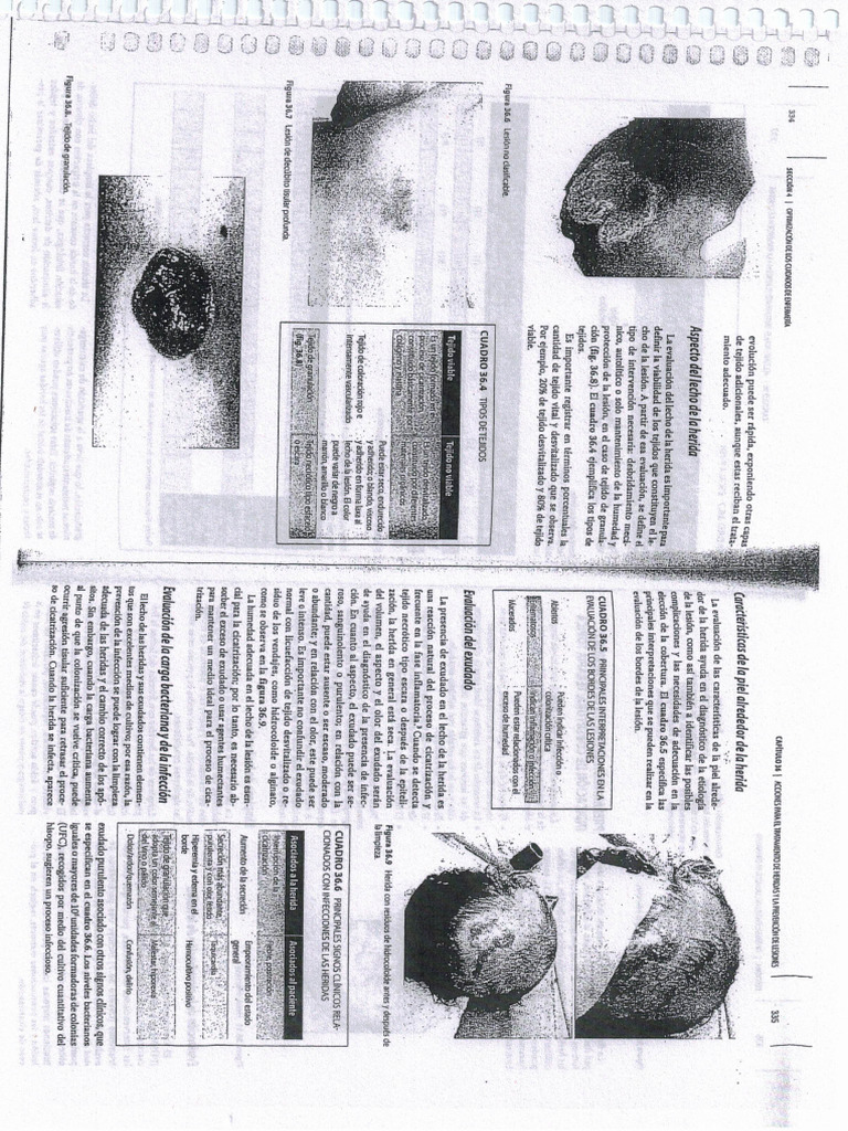 Libro Pag334-486 | PDF