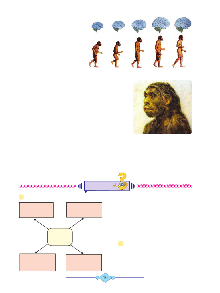 Science 2 Exercise | PDF