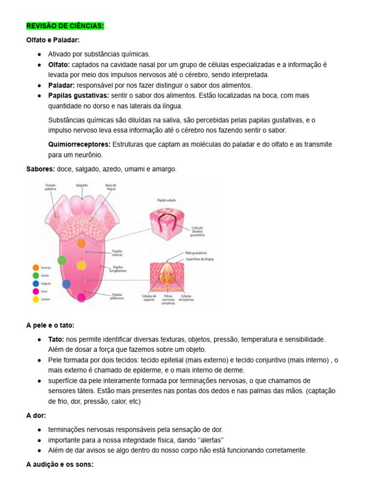 Science Review - AV2 | PDF