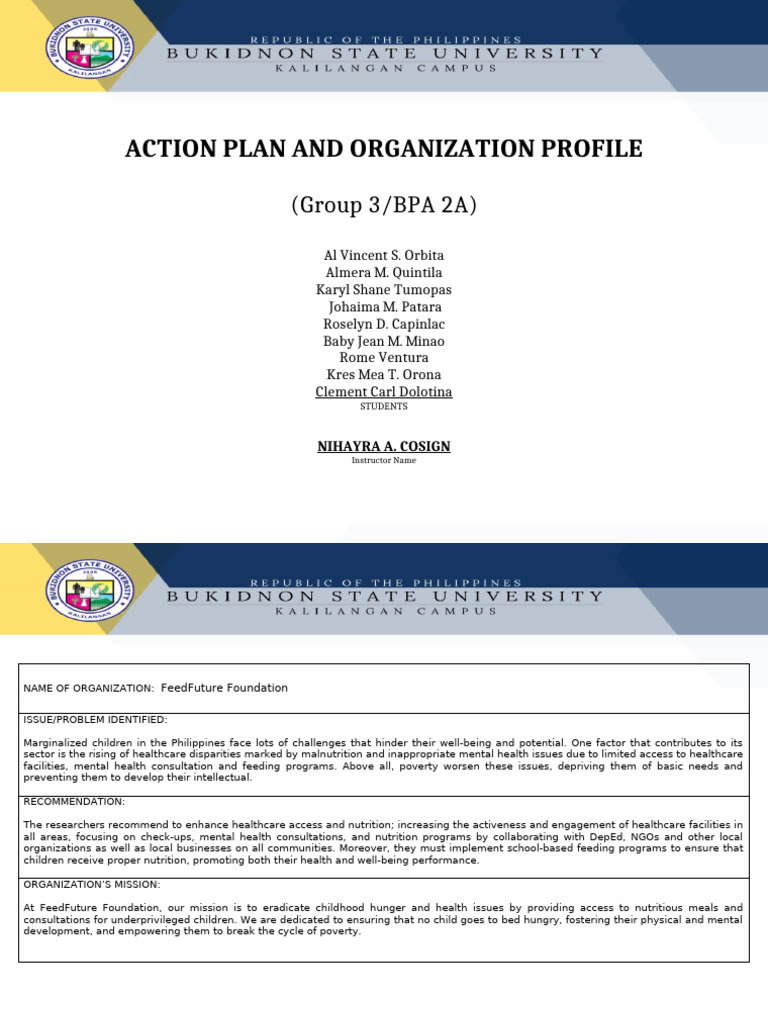 Action Plan | PDF