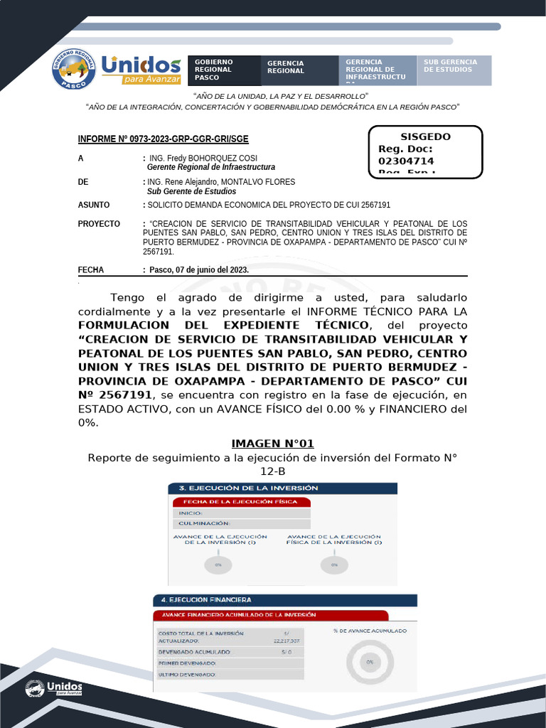 Informe 0973 Solicito Demanda Economica Del Proyecto de Cui 2567191 | PDF