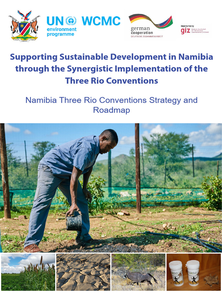 Rio Conventions Synergies - MEFT Namibia - Final Version 06 10 2020 | PDF