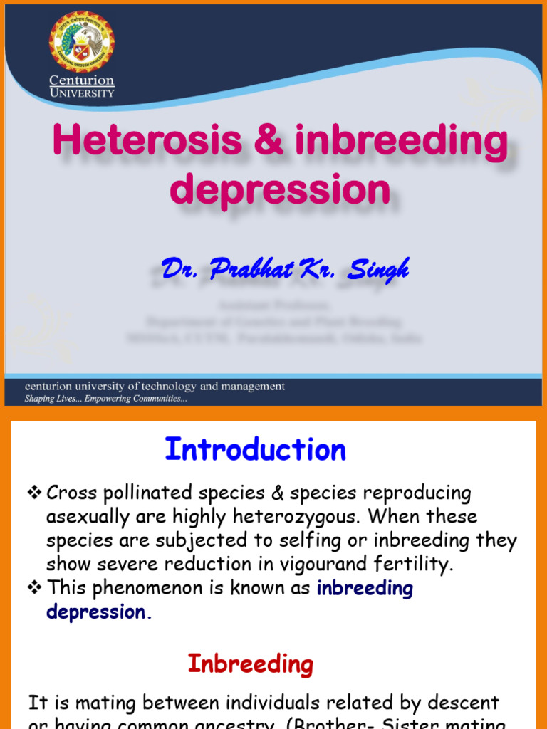 Heterosis and Inbreeding Dynamics | PDF | Dominance (Genetics) | Wellness