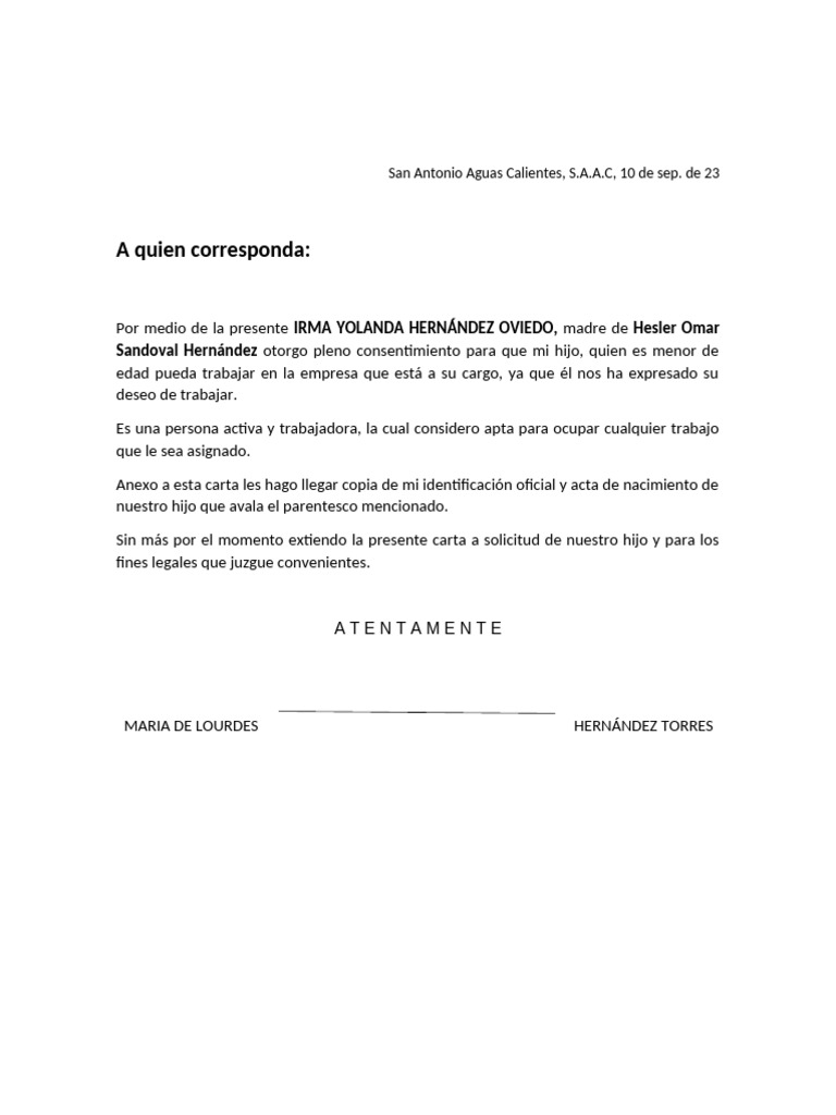 Carta de Permiso | PDF