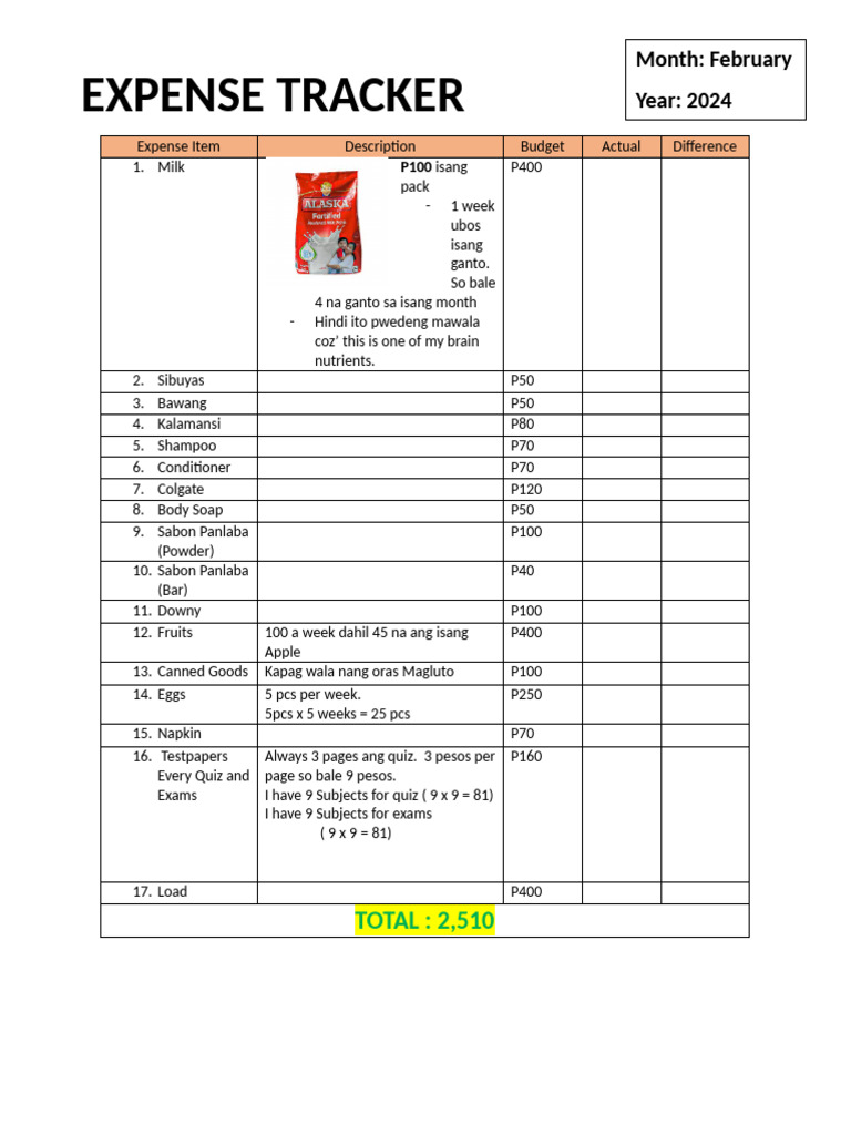 Expense Tracker: Month: February Year: 2024 | PDF