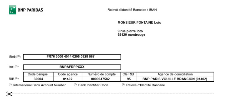 BNP Rib Copier | PDF | Financial Regulation | Corporate Governance