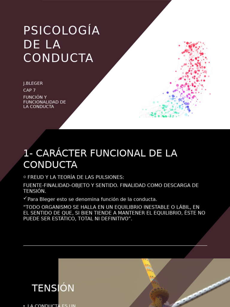 Bleger Parte 1 | PDF