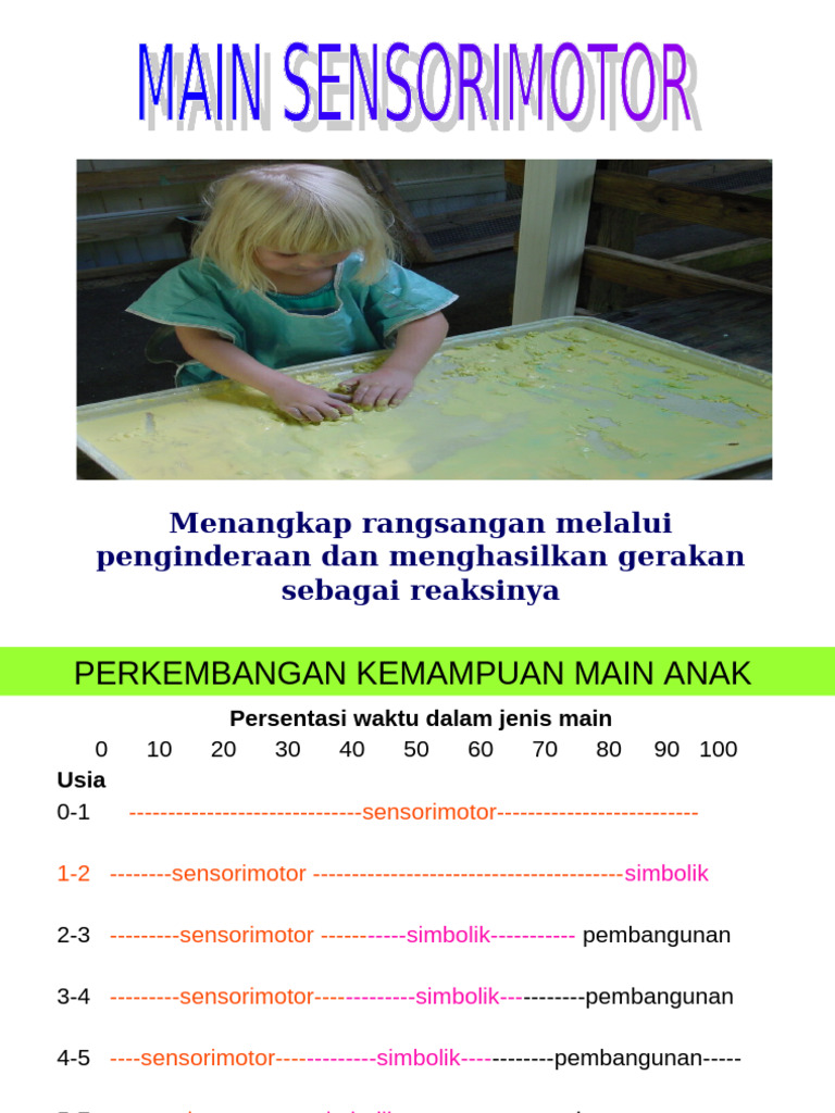 Main Sensorimotor | PDF